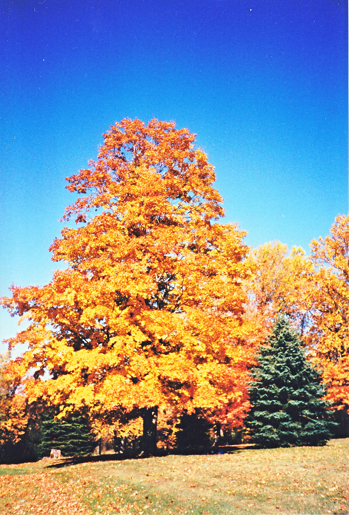 Autumn Reflections - Catholic Faith Corner
